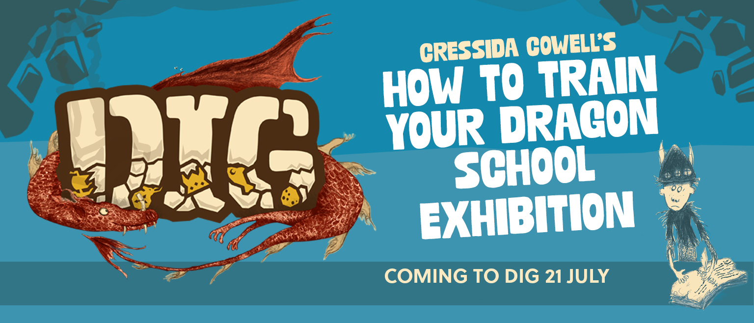 How to Train Your Dragon School Exhibition at DIG York - What's On ...